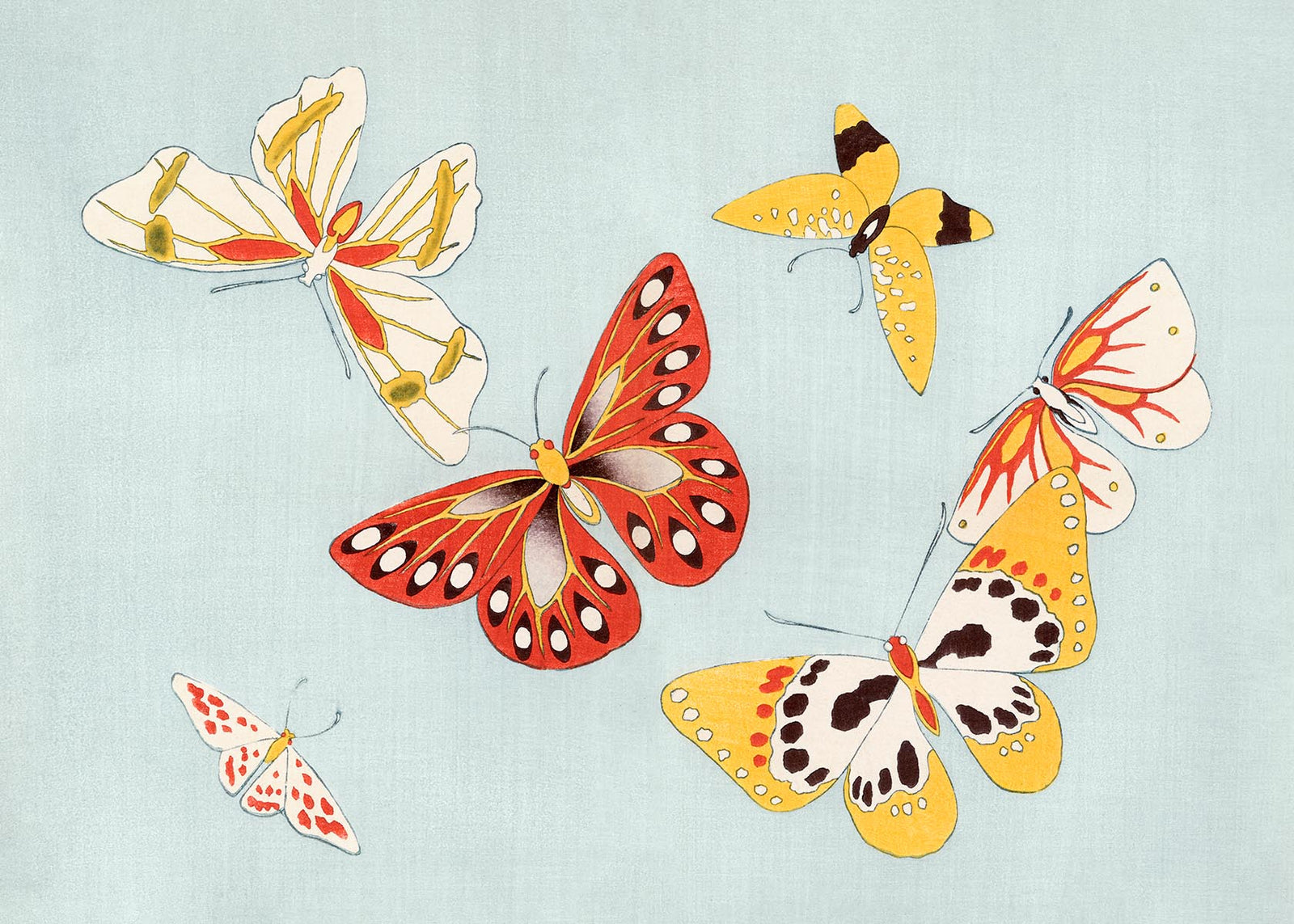 Kamisaka Sekka Japanese butterfly vintage Japanese poster. – Poster Wall