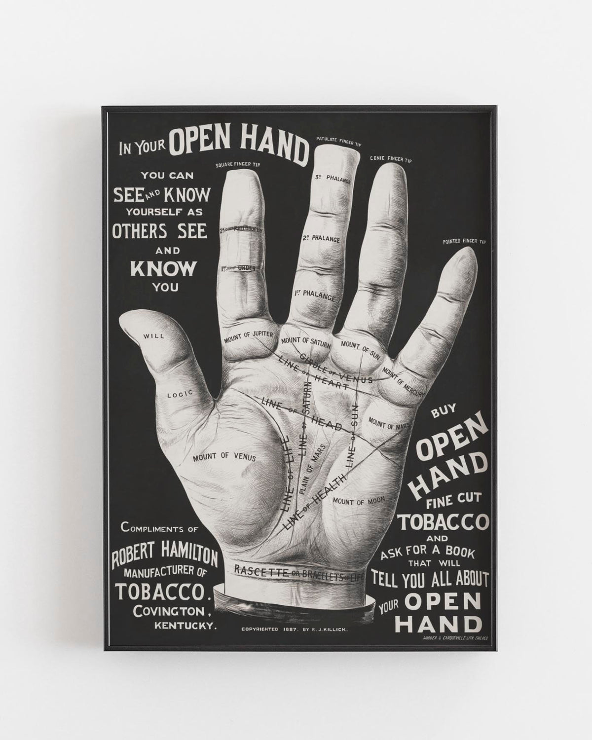 Open hand palm reading – Poster Wall