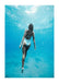 Underwater poster – Poster Wall